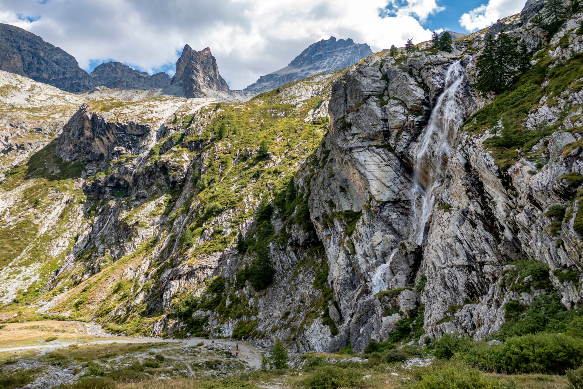 Scopri e ama la natura delle aree protette delle Alpi Cozie - Prima la ...